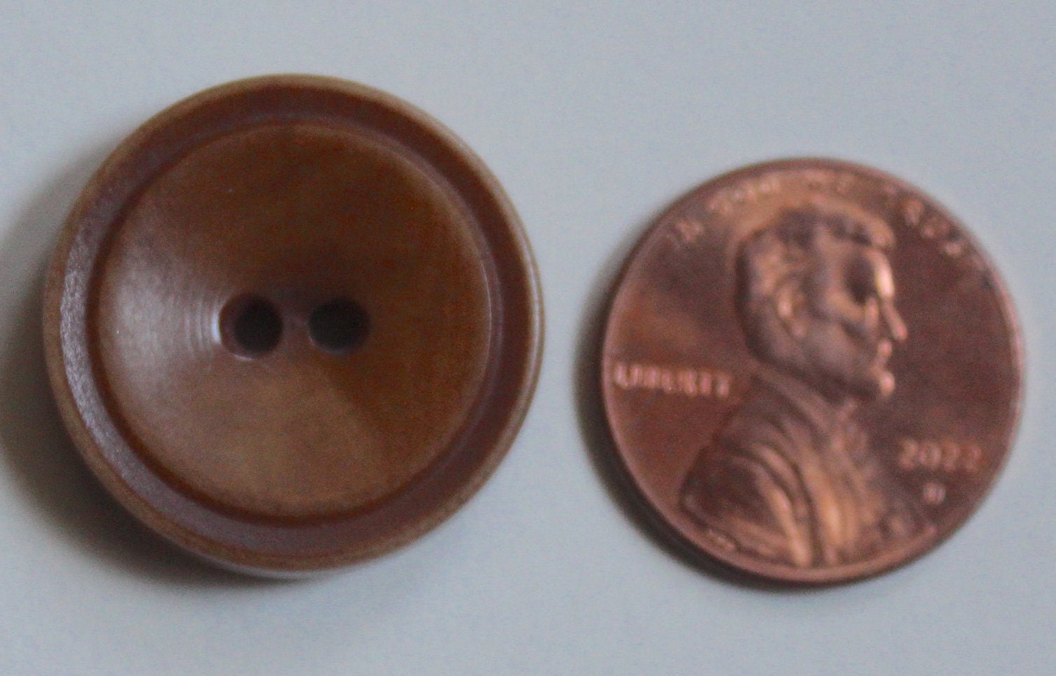 Vintage Vegetable Ivory Buttons - Etsy