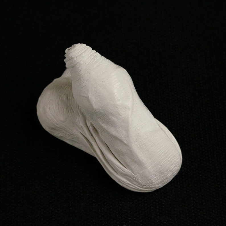 Small Flaccid Penis – Set of Two – Erotic Art Plaster Cast Penis ...