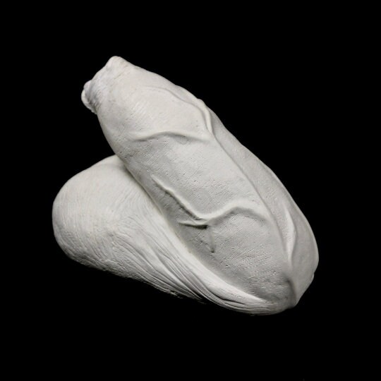 Flaccid Penis (life-size), Erotic Art Plaster Cast Penis Sculpture ...