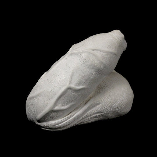 Flaccid Penis (life-size), Erotic Art Plaster Cast Penis Sculpture ...
