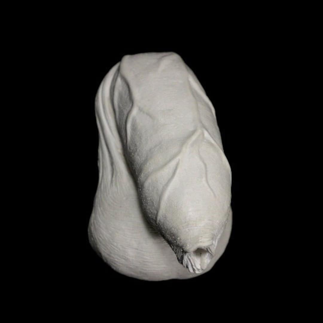 Flaccid Penis (life-size), Erotic Art Plaster Cast Penis Sculpture ...