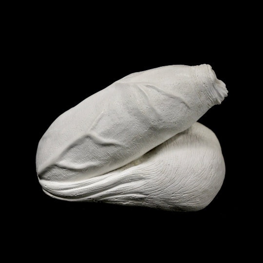 Flaccid Penis (life-size), Erotic Art Plaster Cast Penis Sculpture ...