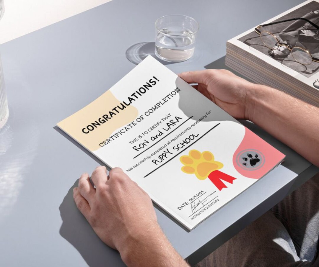 DOG DIPLOMA, Certification of Completion, Cute, Dog School, Dog ...