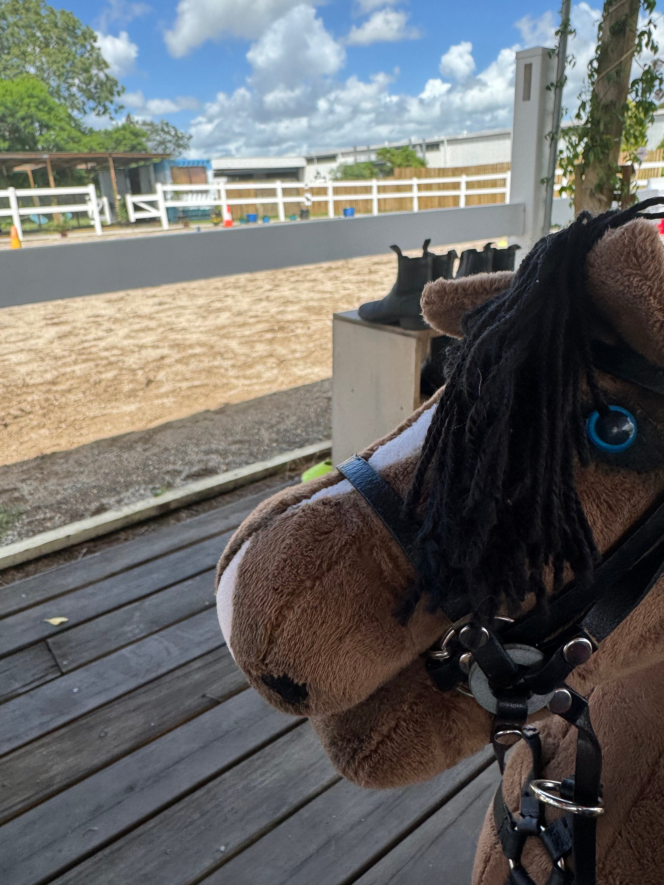 Hobby Horse A4 Size - Etsy