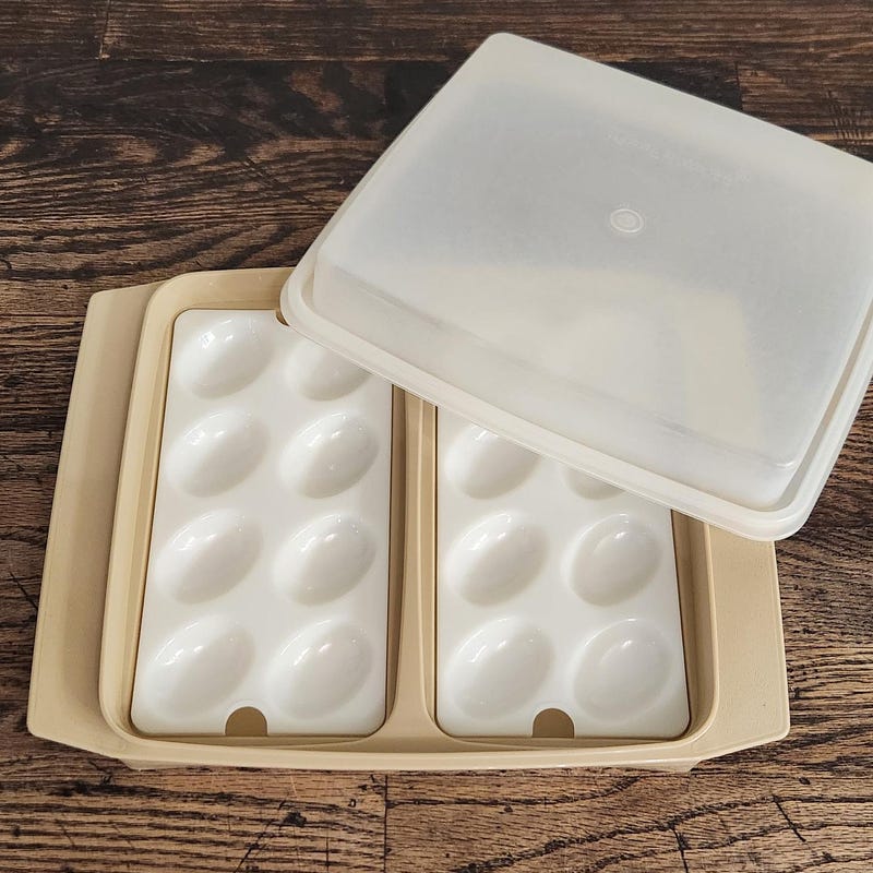 Deviled Egg Carrier - Etsy