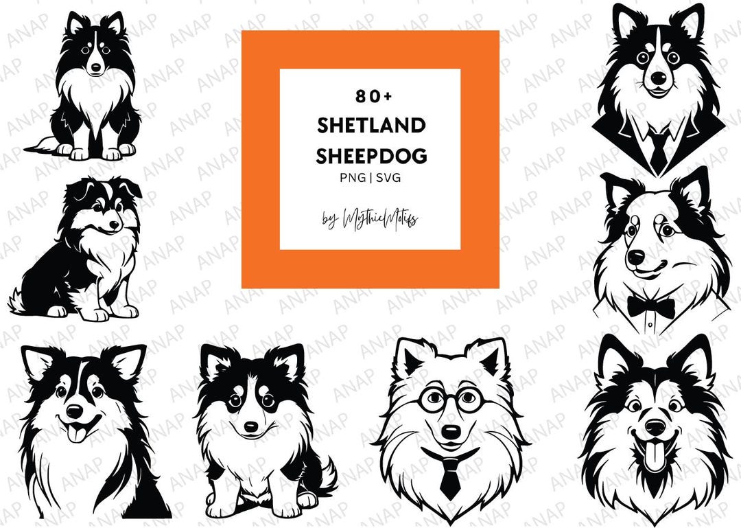 80+ Shetland Sheepdog Bundle SVG PNG 300 DPI Printables Transparent ...