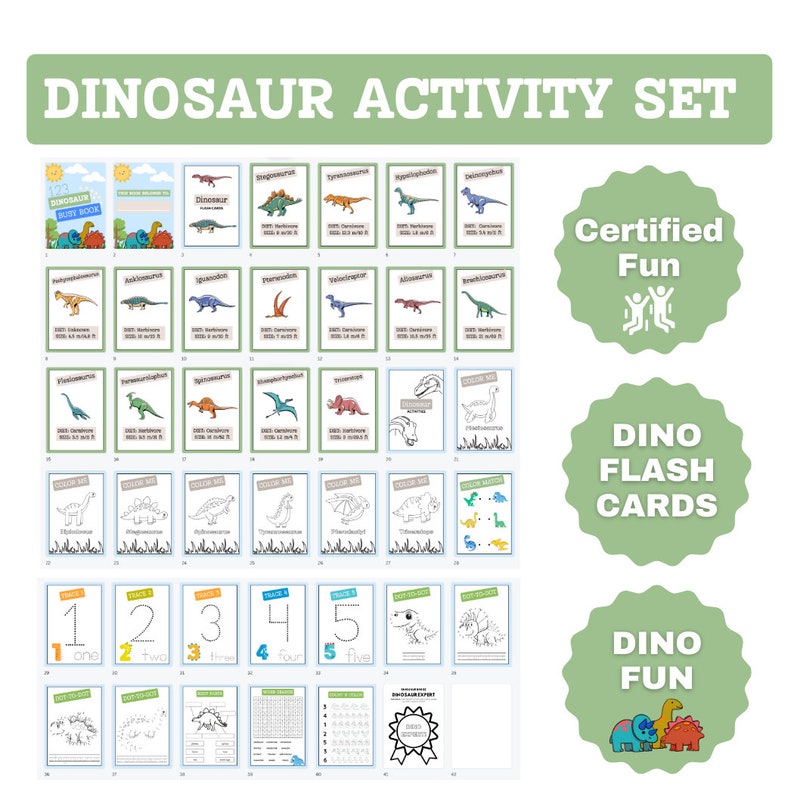 Dinosaur Busy Book flash Cards & Activities for Kids - Etsy