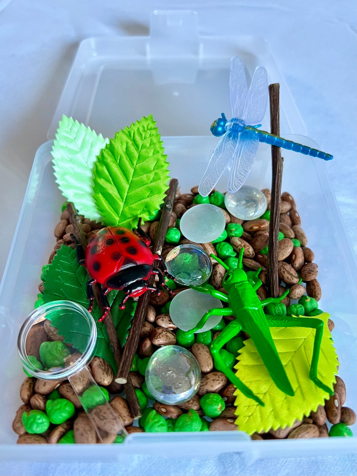 Buggie Buddies Mini Sensory Bin | On-the-go | Bugs and Insects | Garden ...