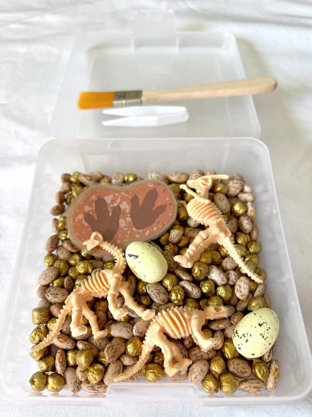 Dino Dig Mini Sensory Bin On-the-go Dinosaurs and Bones Chickpeas ...