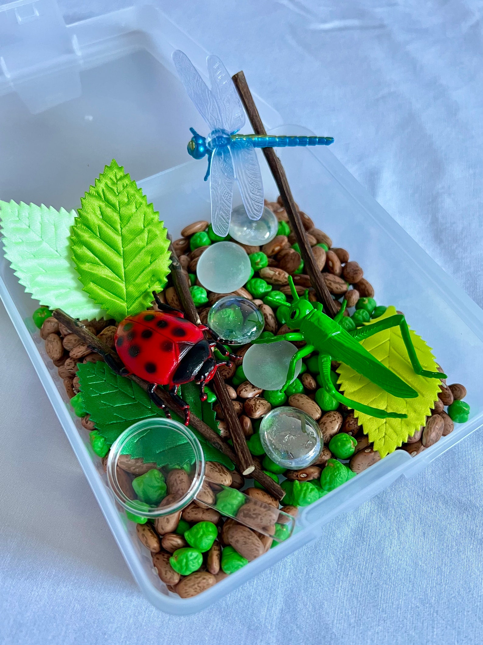 Buggie Buddies Mini Sensory Bin | On-the-go | Bugs and Insects | Garden ...