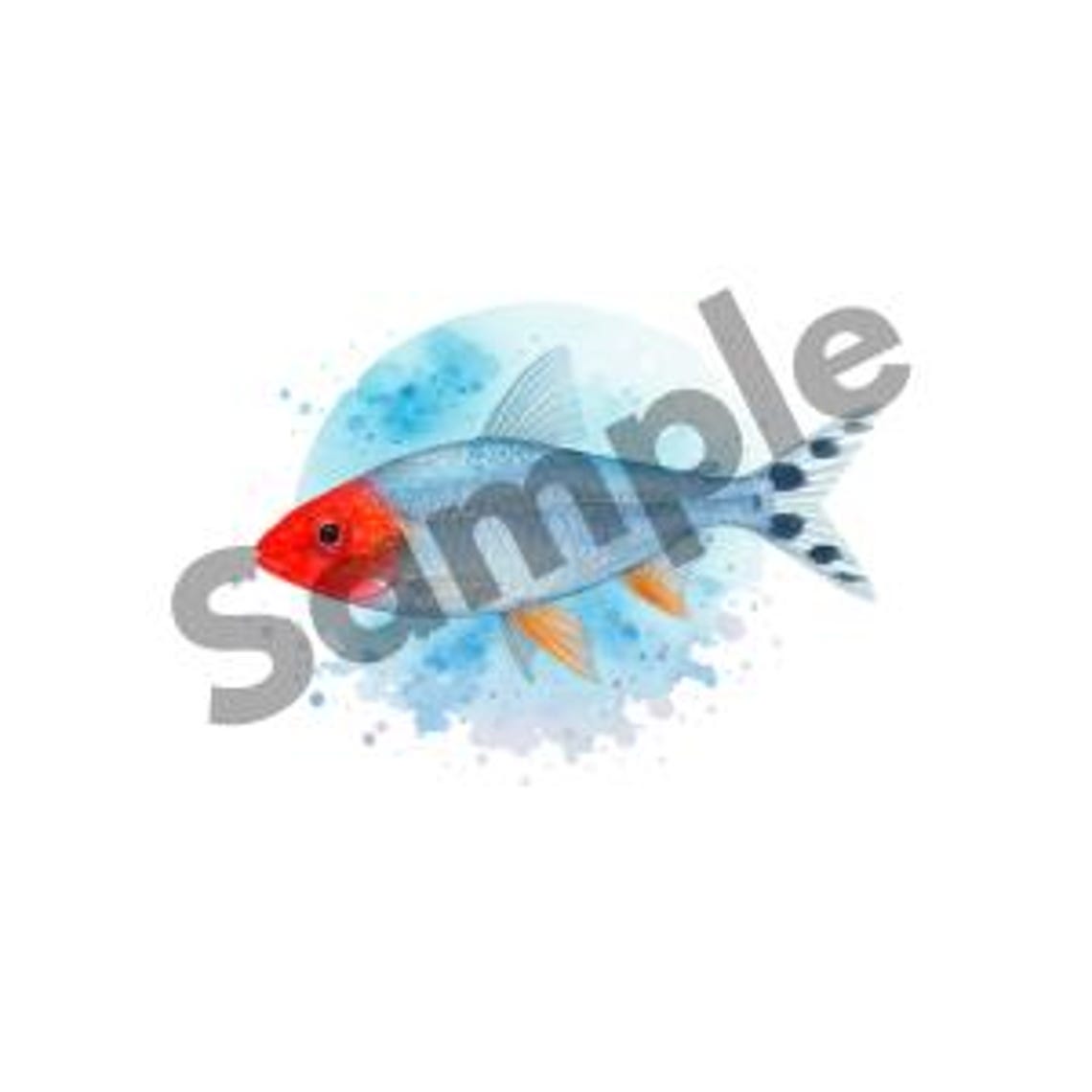 Aquarium Fish Prints - 5 Individual Colourful Digital Aquatic Prints ...