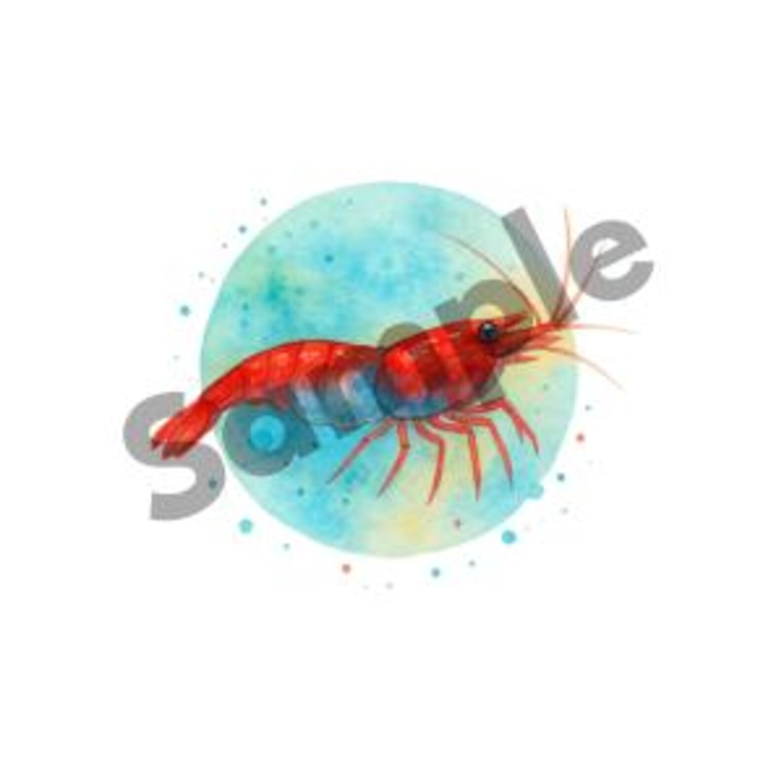 Aquarium Fish Prints - 5 Individual Colourful Digital Aquatic Prints ...