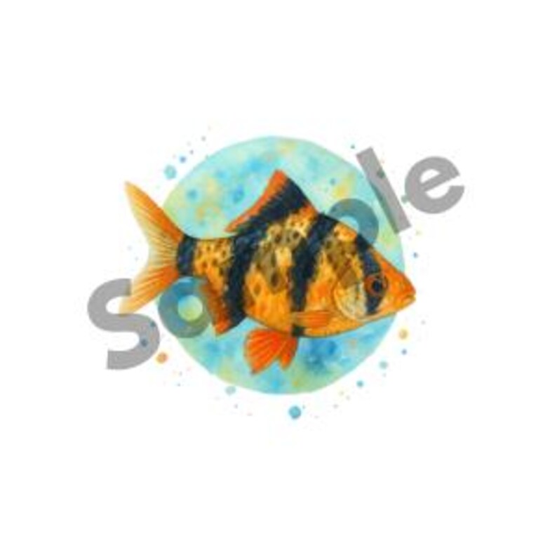 Aquarium Fish Prints - 5 Individual Colourful Digital Aquatic Prints ...