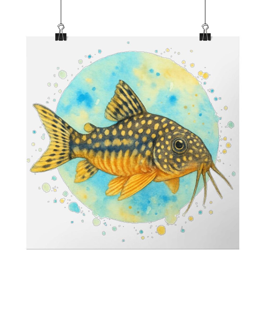 Sterbai Corydoras Watercolour Print – Catfish Aquarium Art | Tropical ...