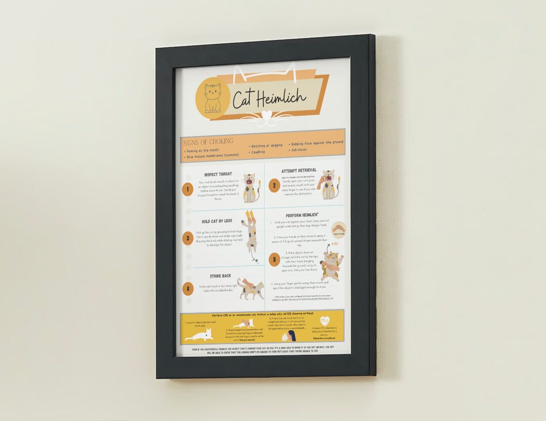 CAT Heimlich CPR Digital Poster Kitty Pet Orange - Etsy