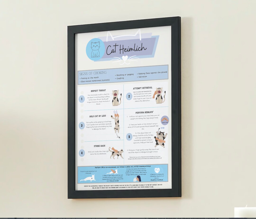 CAT Heimlich CPR Digital Poster Kitty Pet Blue - Etsy