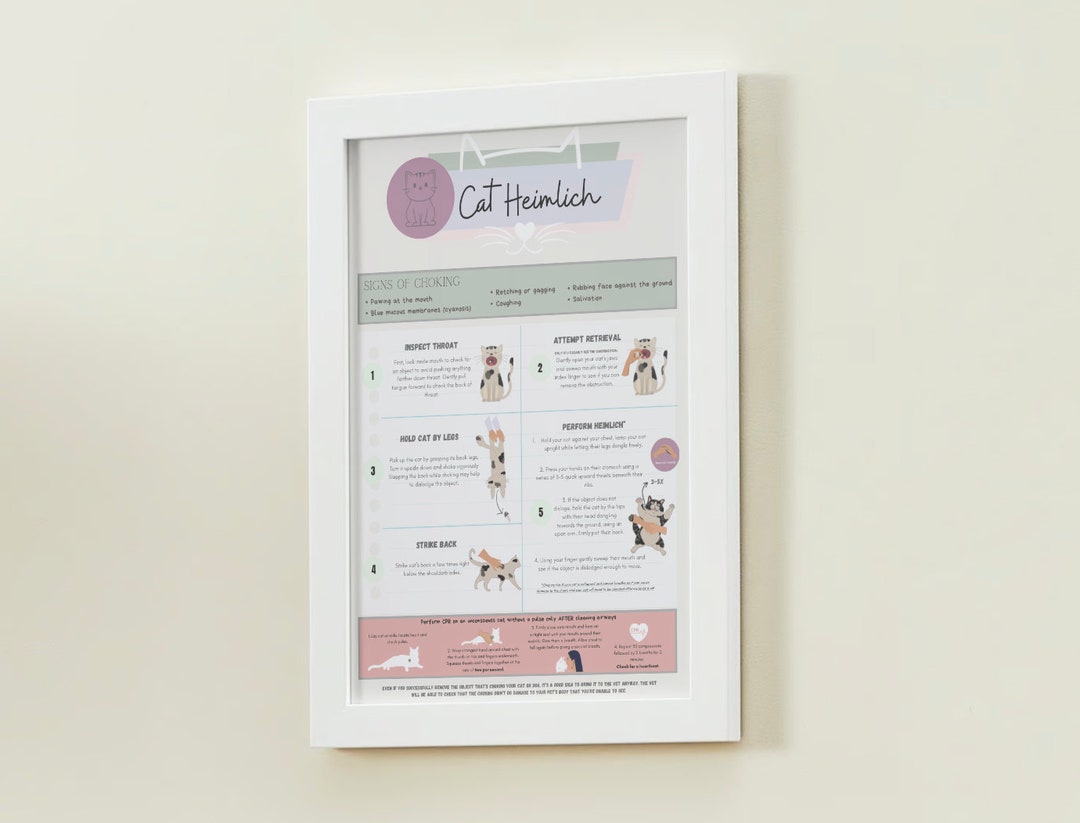 CAT Heimlich CPR Digital Poster Kitty Pet Purple Green - Etsy