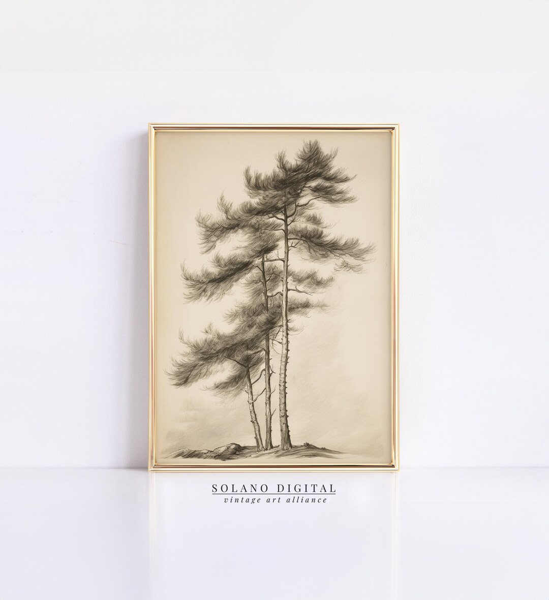 Rustic Tree Sketch Vintage Pine Tree Drawing Print Digital PRINTABLE ...