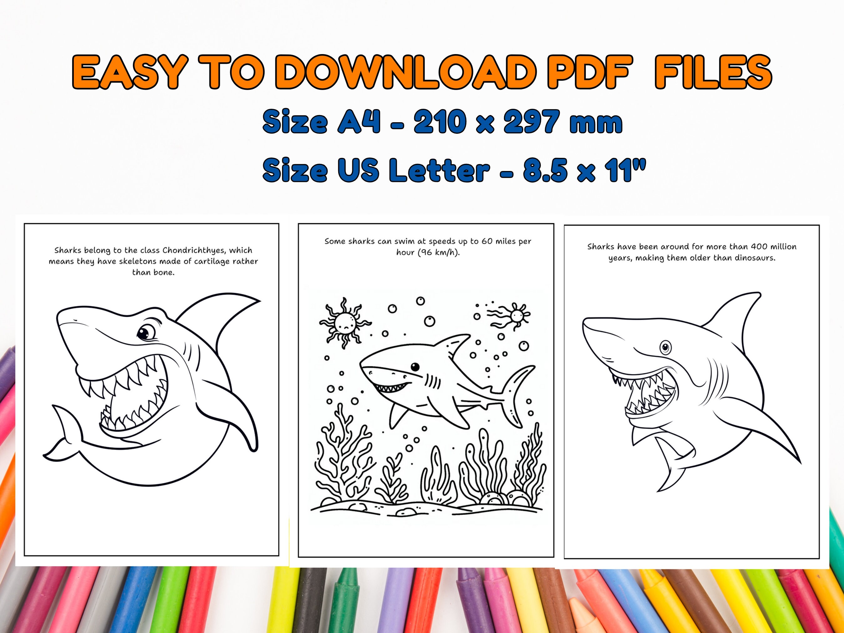 Sharks Coloring Pages for Your Kids With Fun Facts Trivia - Under the ...