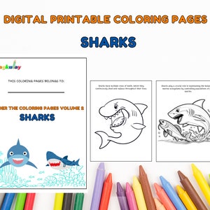 Sharks Coloring Pages for Your Kids With Fun Facts Trivia - Under the ...