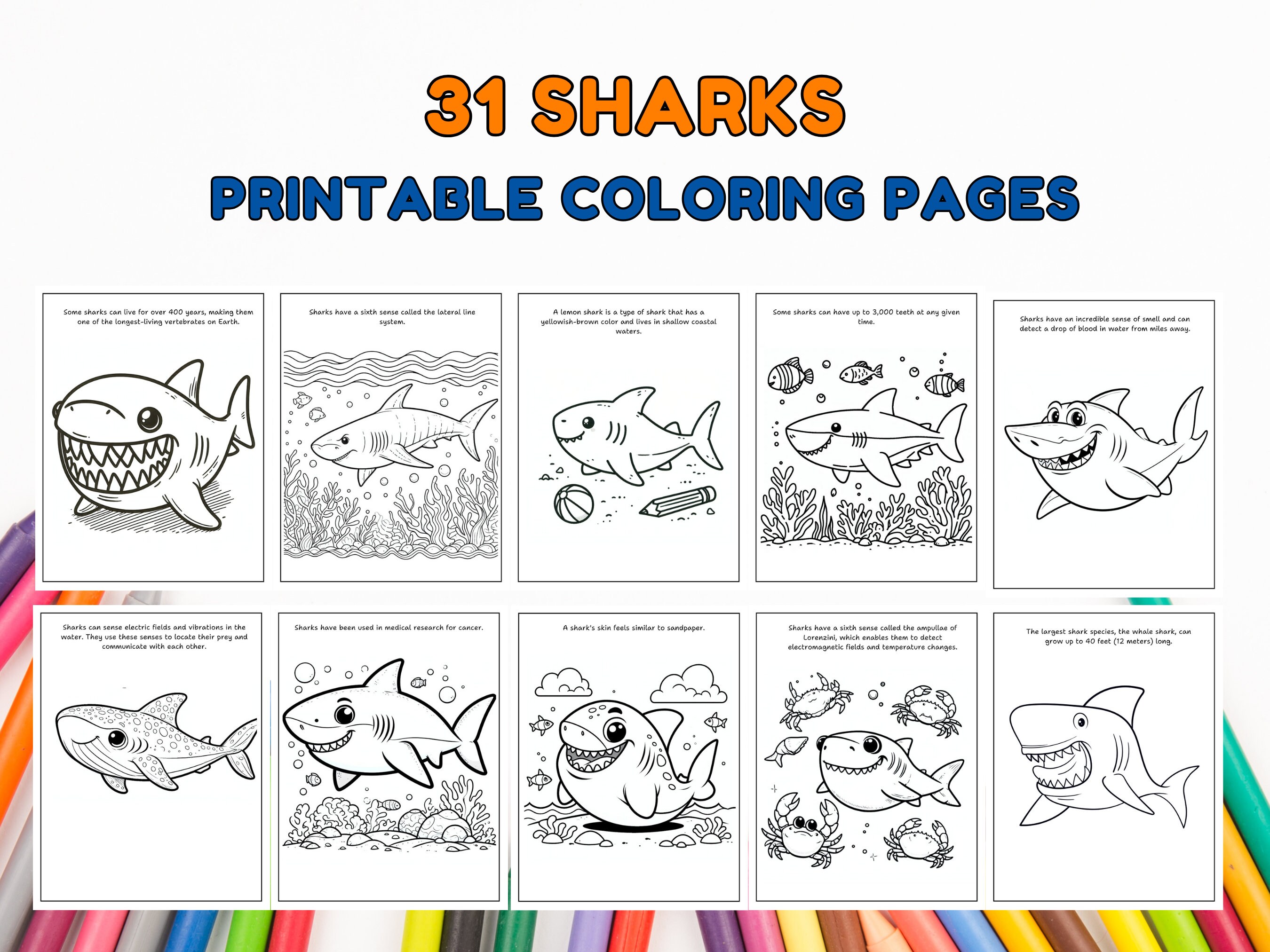 Sharks Coloring Pages for Your Kids With Fun Facts Trivia - Under the ...