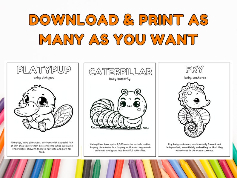 Cute Baby Animals Coloring Pages With Learning Notes Animals Coloring ...