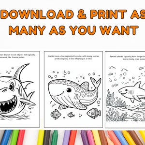 Sharks Coloring Pages for Your Kids With Fun Facts Trivia - Under the ...