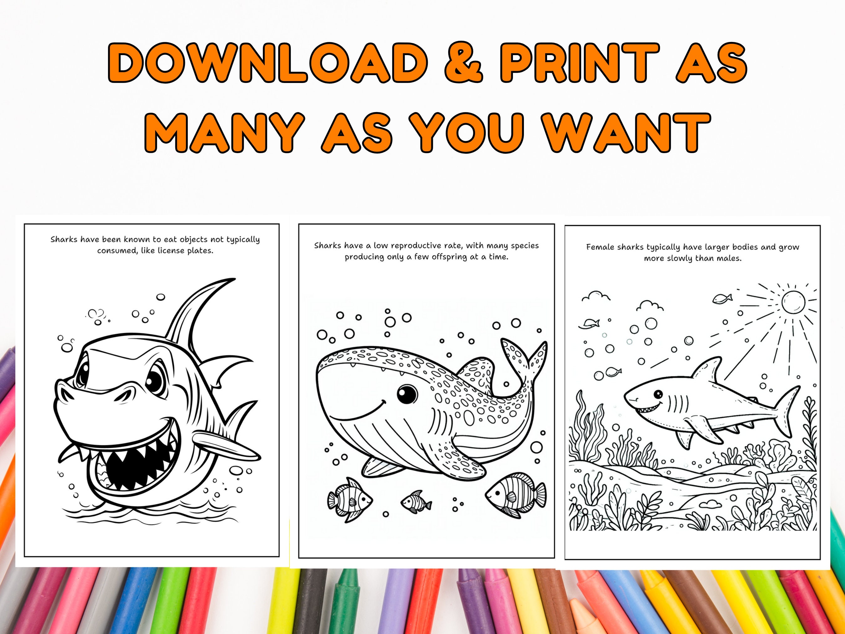 Sharks Coloring Pages for Your Kids With Fun Facts Trivia - Under the ...