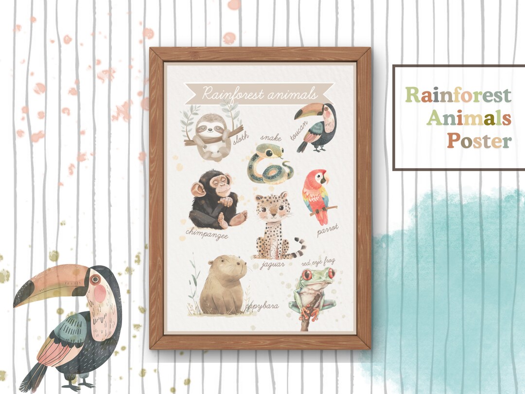 Rainforest Animals Poster. Montessori Learning Instant Download - Etsy