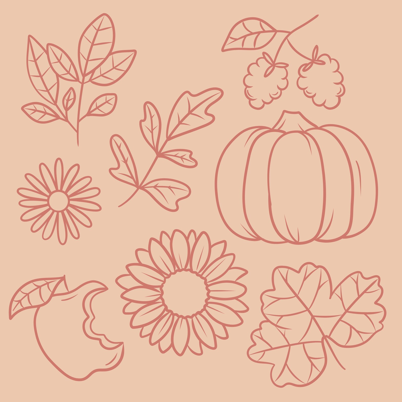 Fall Line Art Clip Art: 59 Hand-drawn Autumn Illustrations (PNG, SVG ...
