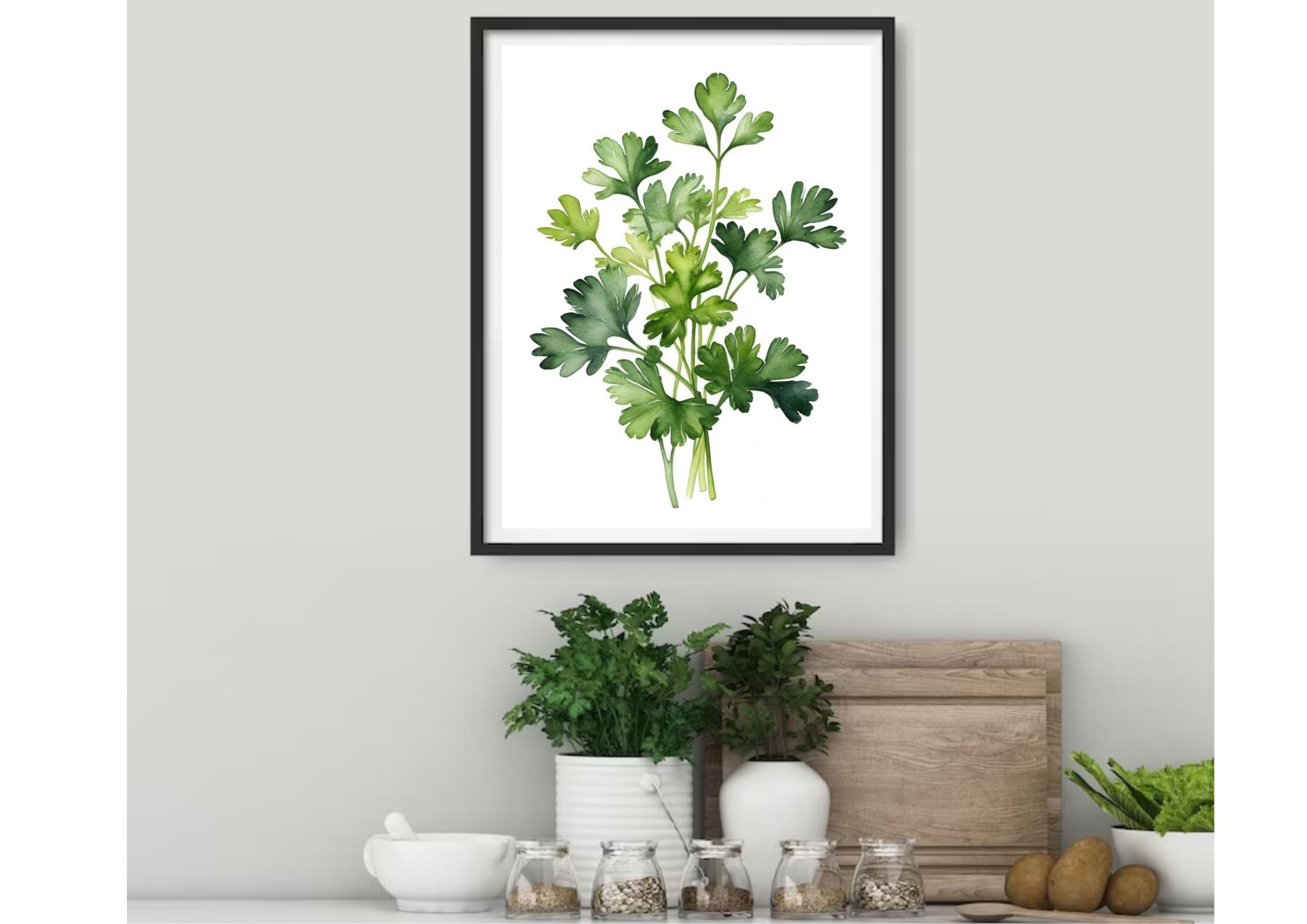 Parsley Painting Herbs Watercolor Printable Art Print Parsley Still ...