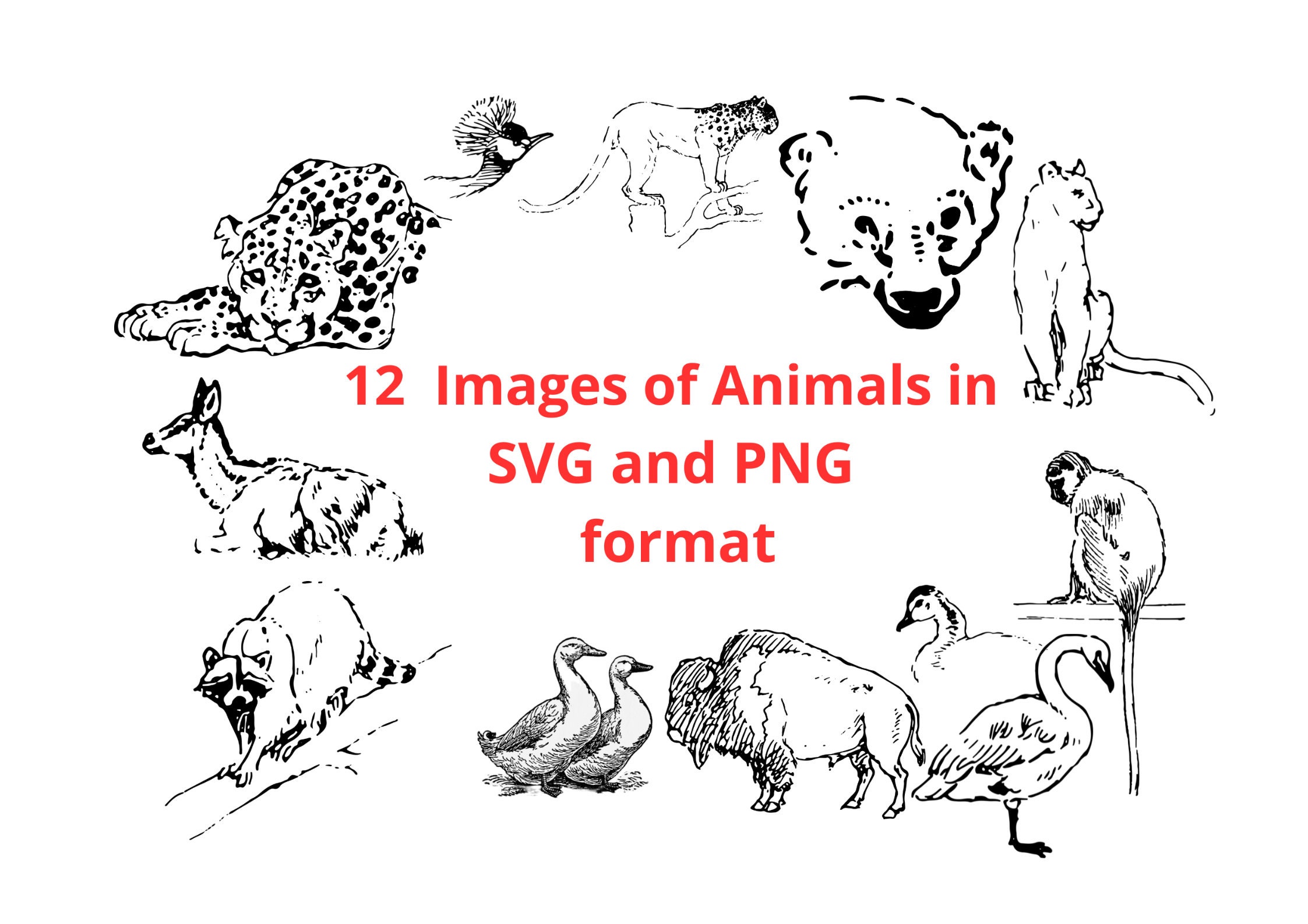 12 Animals Sketch in SVG PNG Format ,animals SVG ,animals Png ,birds ...