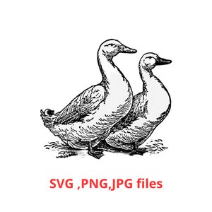 Two Ducks Sketch: Wild Animal Clipart (SVG, PNG) - Etsy