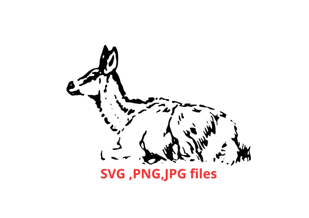 Doe Painting Animals Sketch in SVG PNG Format ,animals SVG ,animals Png ...
