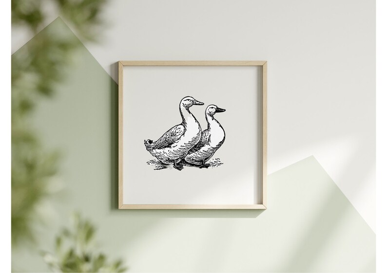 Two Ducks Sketch: Wild Animal Clipart (SVG, PNG) - Etsy