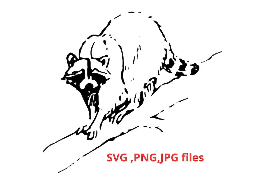 Mapache SVG PNG Formato ,Mapache SVG ,Mapache Jpg,Animales Png ,Animal ...