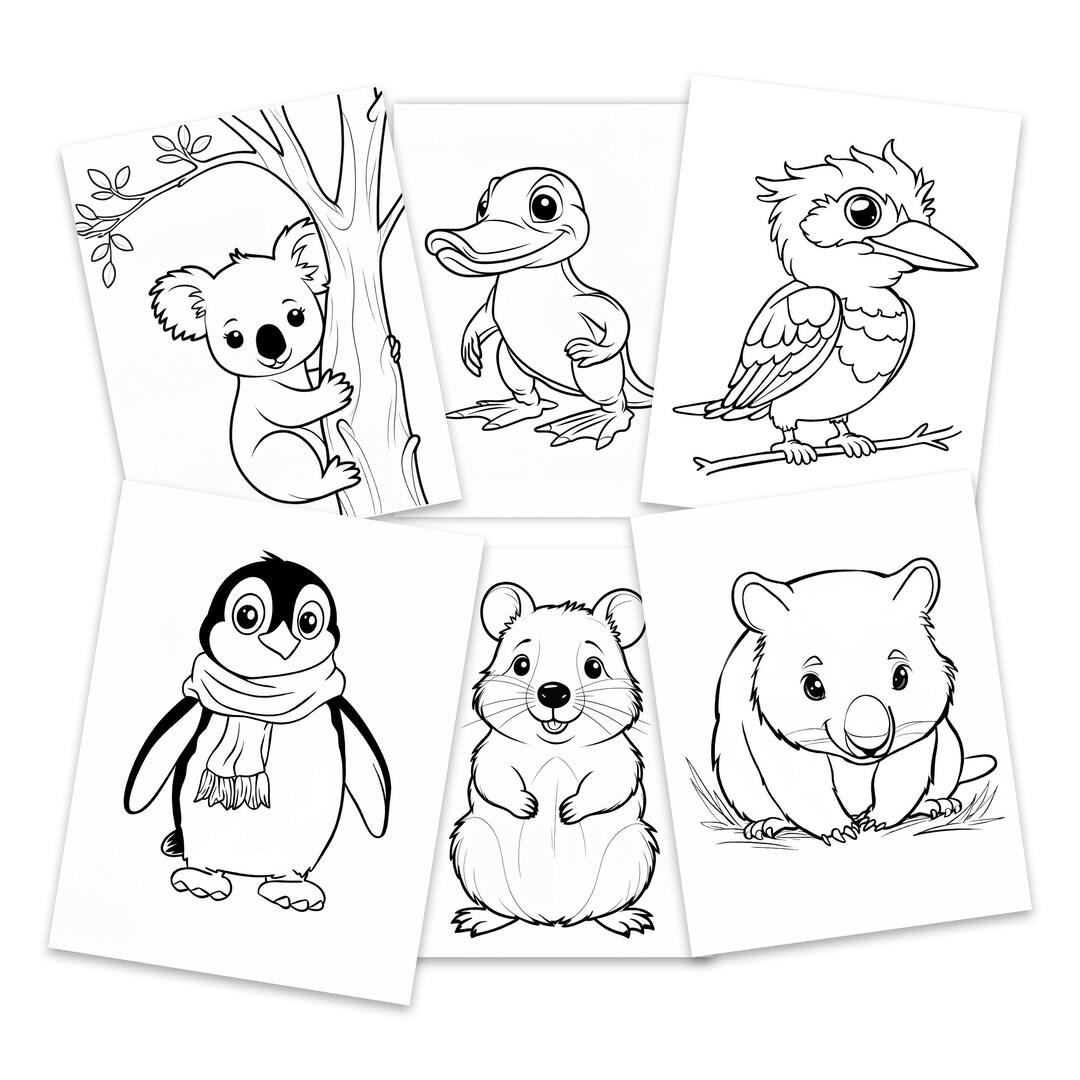 25 Australian Animals Coloring Pages for All Ages: Wombat Kangaroo ...