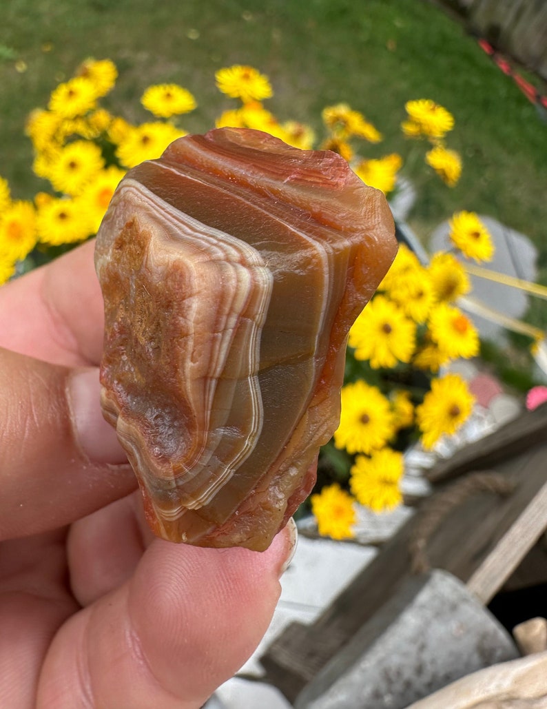 Lake Superior Agate 1.3oz Banded Agate, Brownish Red, Peeler Husk, Gem ...