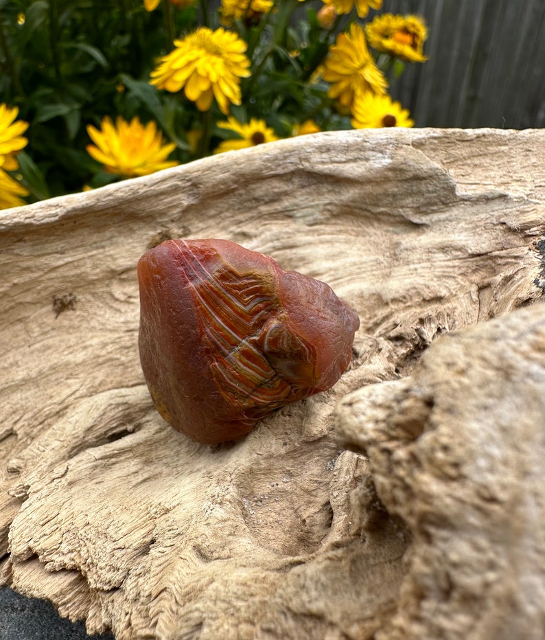 Lake Superior Agate 1oz, Two Face Agate, Banded Agate, Smooth Husk ...