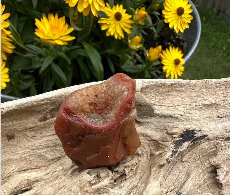 Lake Superior Agate 1.3oz Banded Agate, Brownish Red, Peeler Husk, Gem ...