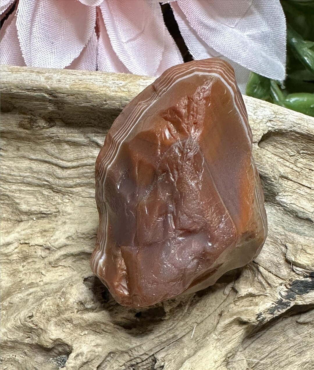 Lake Superior Paint Agate 1.3oz Wrap Around Bander, Smooth Husk ...