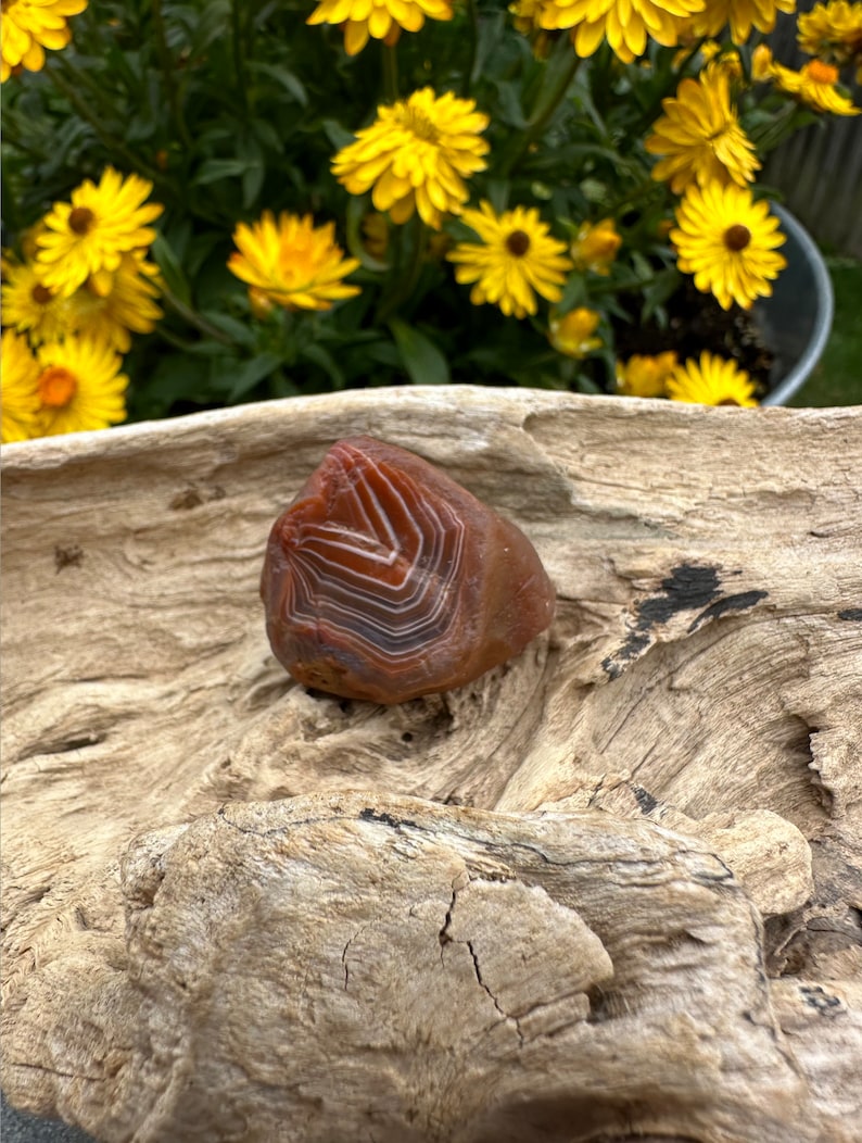 Lake Superior Agate 1oz, Two Face Agate, Banded Agate, Smooth Husk ...