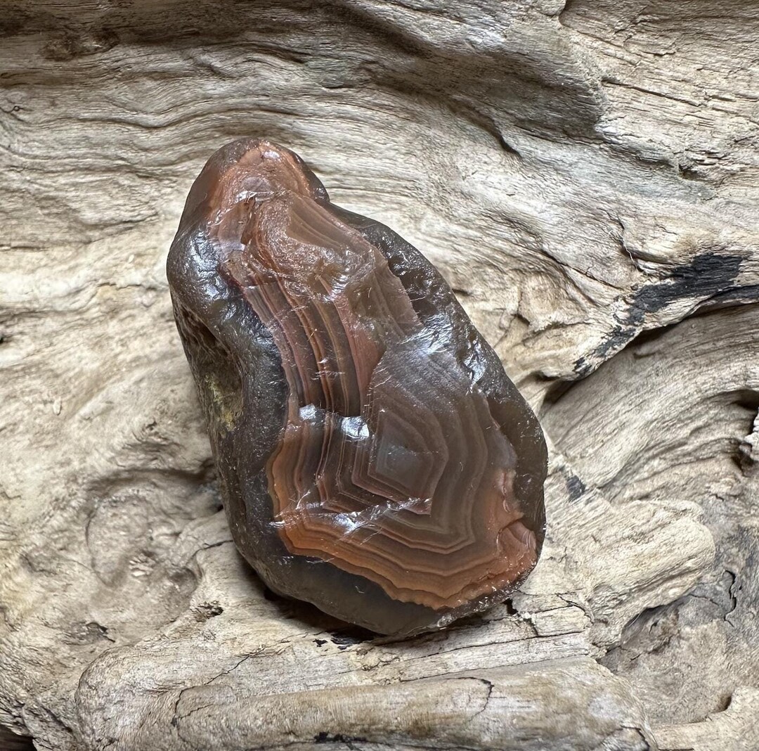 Lake Superior Jelly Flame Agate 1.3oz LSA Waxy Bander, Chocolate Husk ...