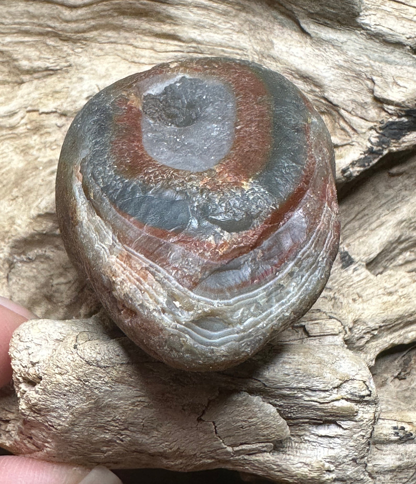 Lake Superior Agate 2.2oz LSA, Peeler, Bullseye Bander, Smooth Husk ...