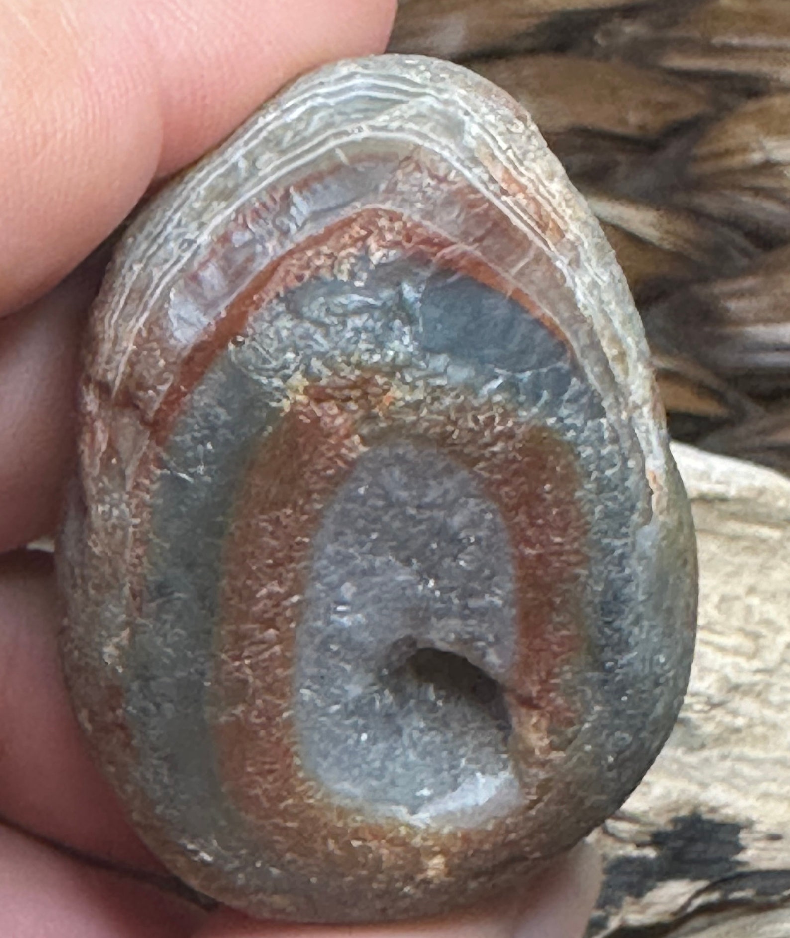 Lake Superior Agate 2.2oz LSA, Peeler, Bullseye Bander, Smooth Husk ...