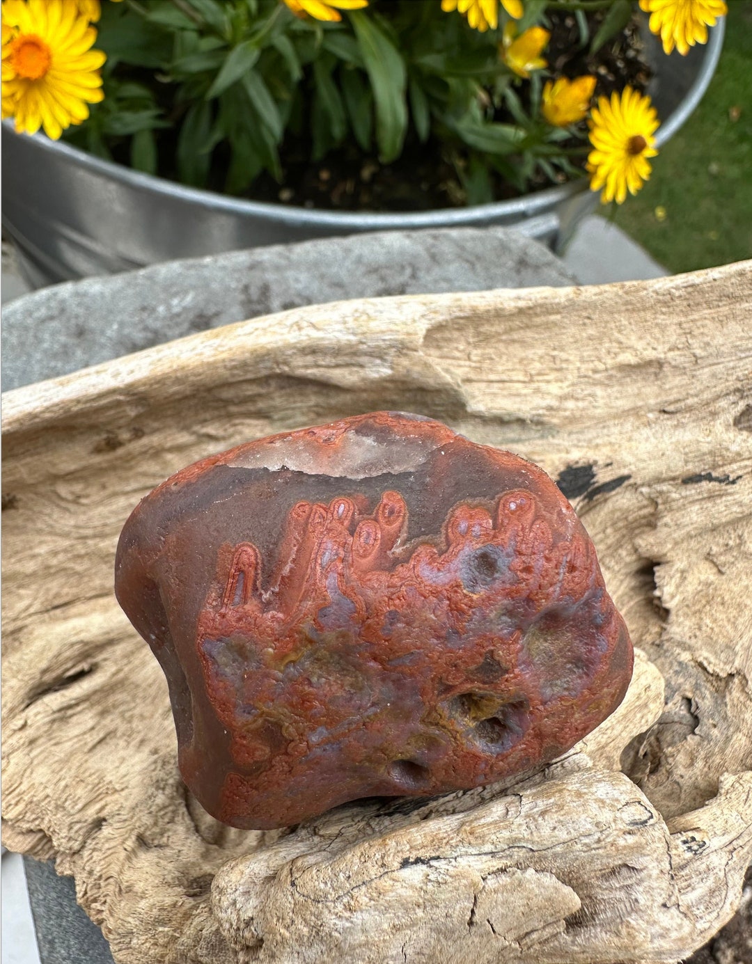 GREAT TUBER Lake Superior Tube Agate 4.2oz, Banded Agate, Smooth Husk ...