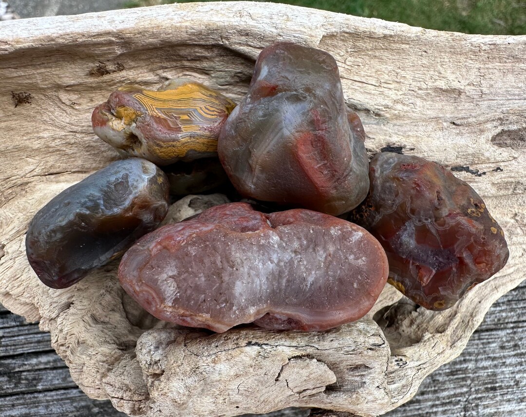 Lake Superior Agate Nodule Lot of Five 5.3oz, Banded Agate, Bluish Husk ...