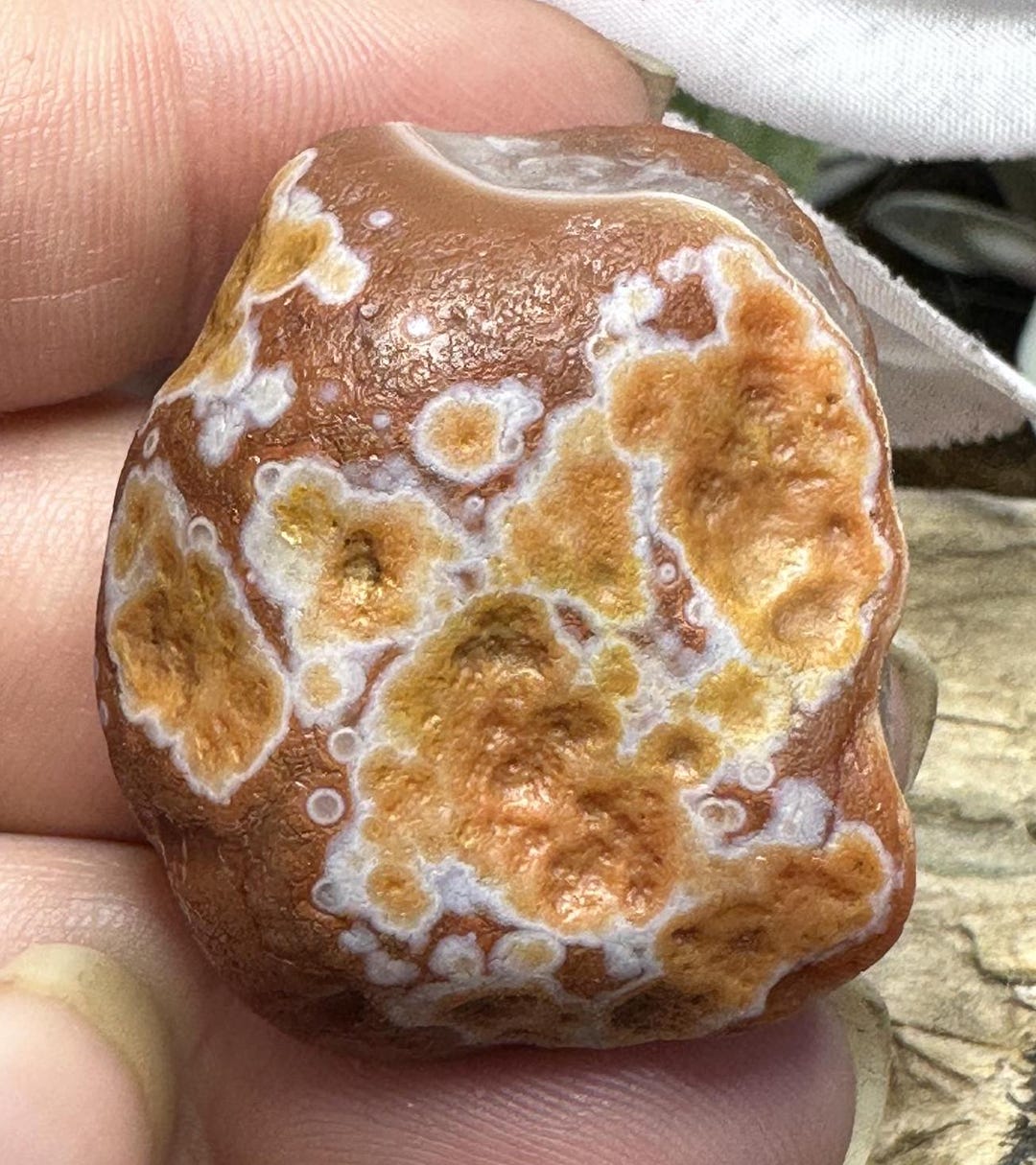 Lake Superior EYE Agate Nodule 1.3oz LSA, Red & Orange Husk, Smooth ...