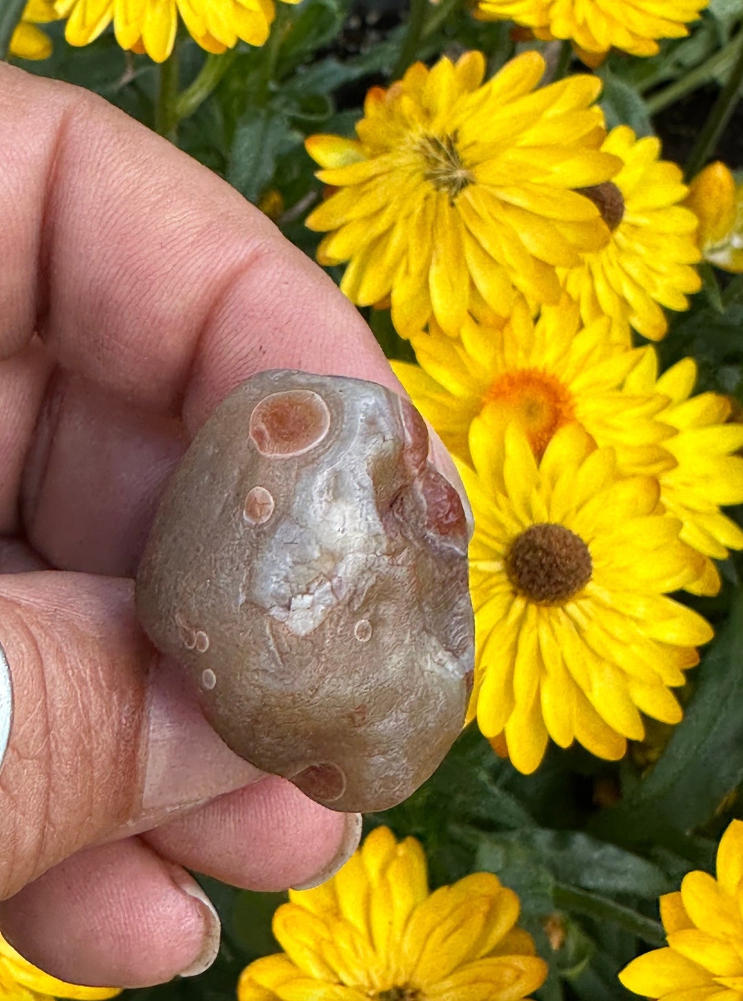 Lake Superior Eye Agate .6oz, Mushroom Cap Agate, Multiple Eye Agate ...