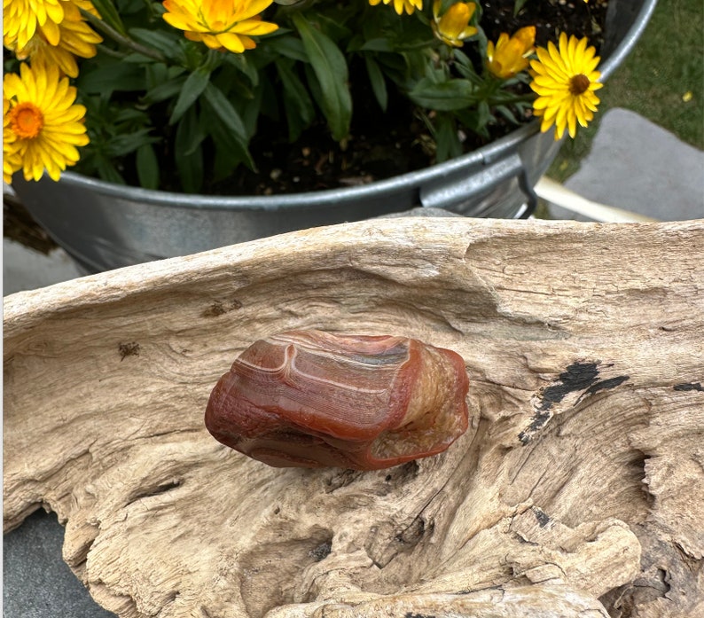 Lake Superior Agate 1.3oz Banded Agate, Brownish Red, Peeler Husk, Gem ...